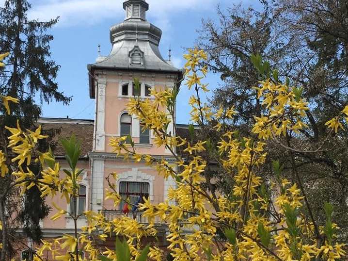 primaria-primavara – PRIMARIA TARNAVENI